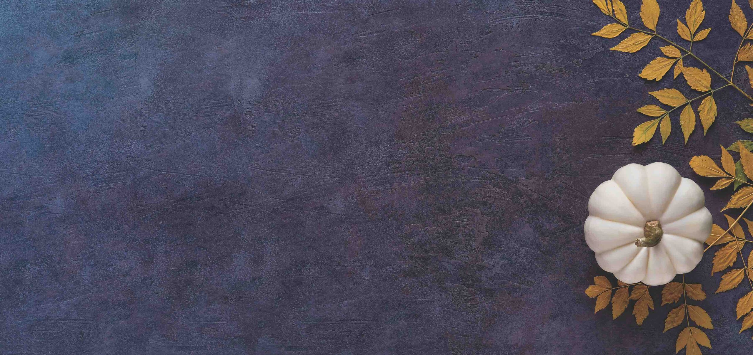 CōV Wayzata | Coastal American Eatery